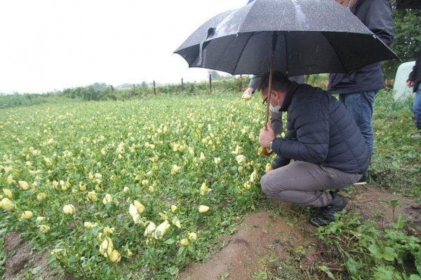 Ministria e Bujqësisë ekzekutoi pagesat për kompensimin e dëmeve në ...