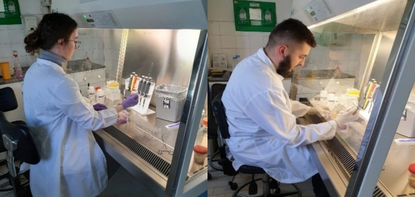 UP-ja ofron ndihmë laboratorike në parandalimin e pandemisë COVID-19 ...